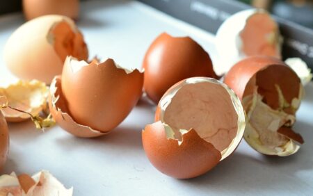 Egg Shell Health Benefits - GetMe Treated