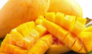 Why Mango Is Philippine National Fruit - GetMe Treated